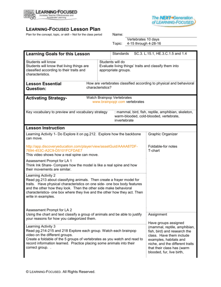 Learning Focused Lesson Plan Template - Best Template Ideas