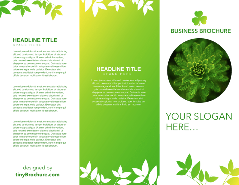 Pamphlet Template Google Docs Free Inside Google Docs Pamphlet Template 